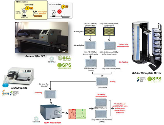 Interactomics - Ametys, Web Java Open Source CMS